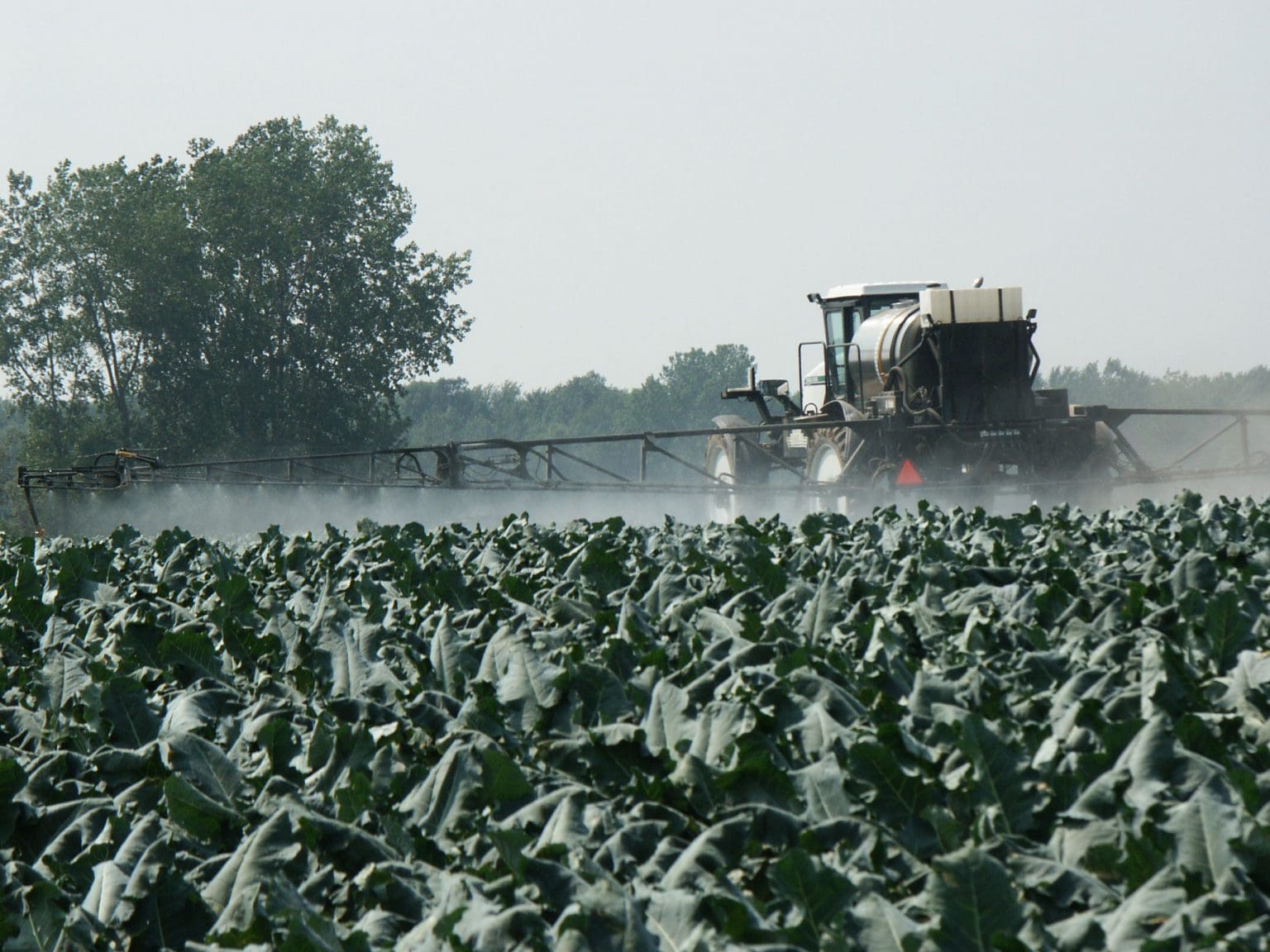 RiteHeight - Greentronics