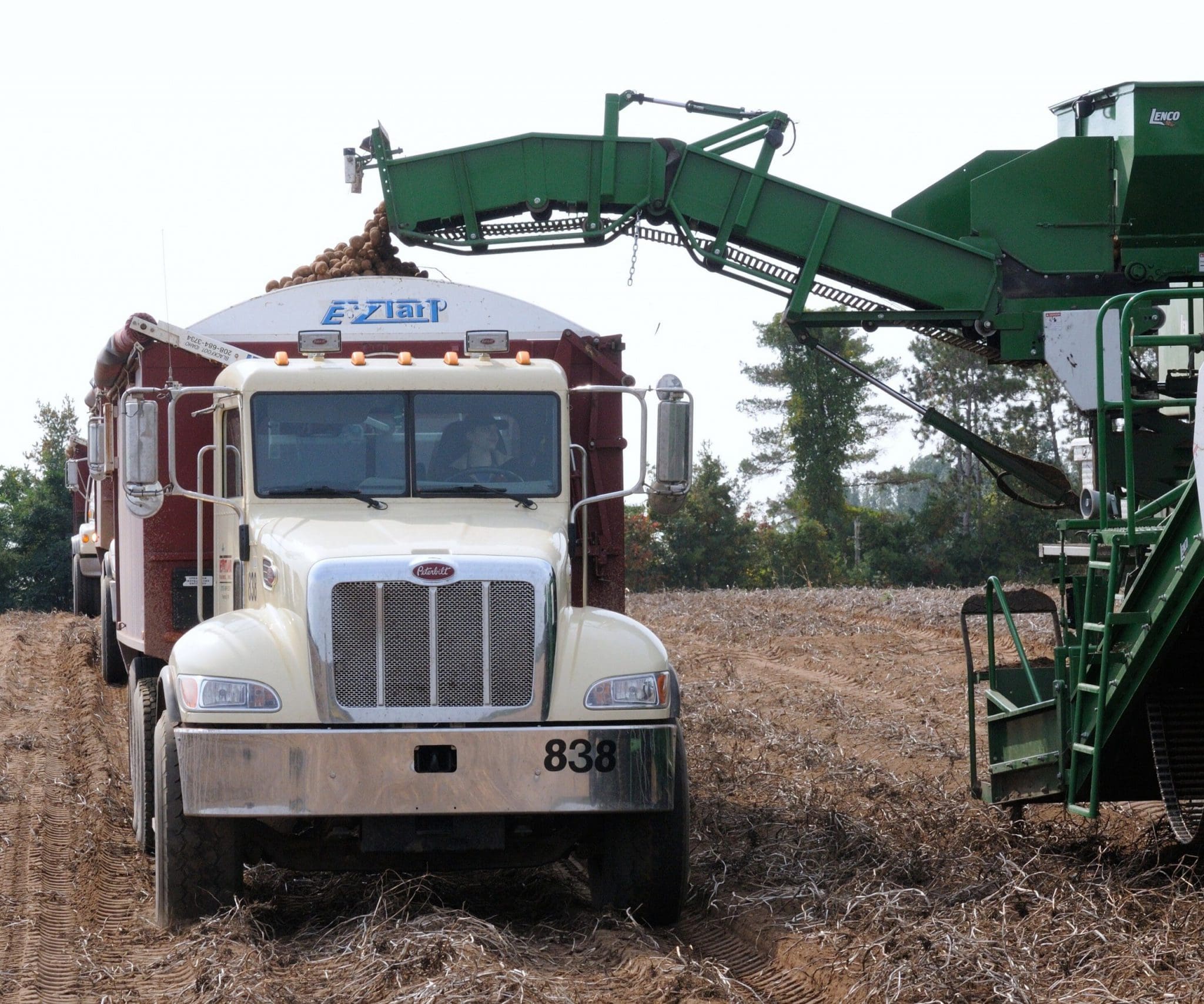 RiteHeight - Greentronics